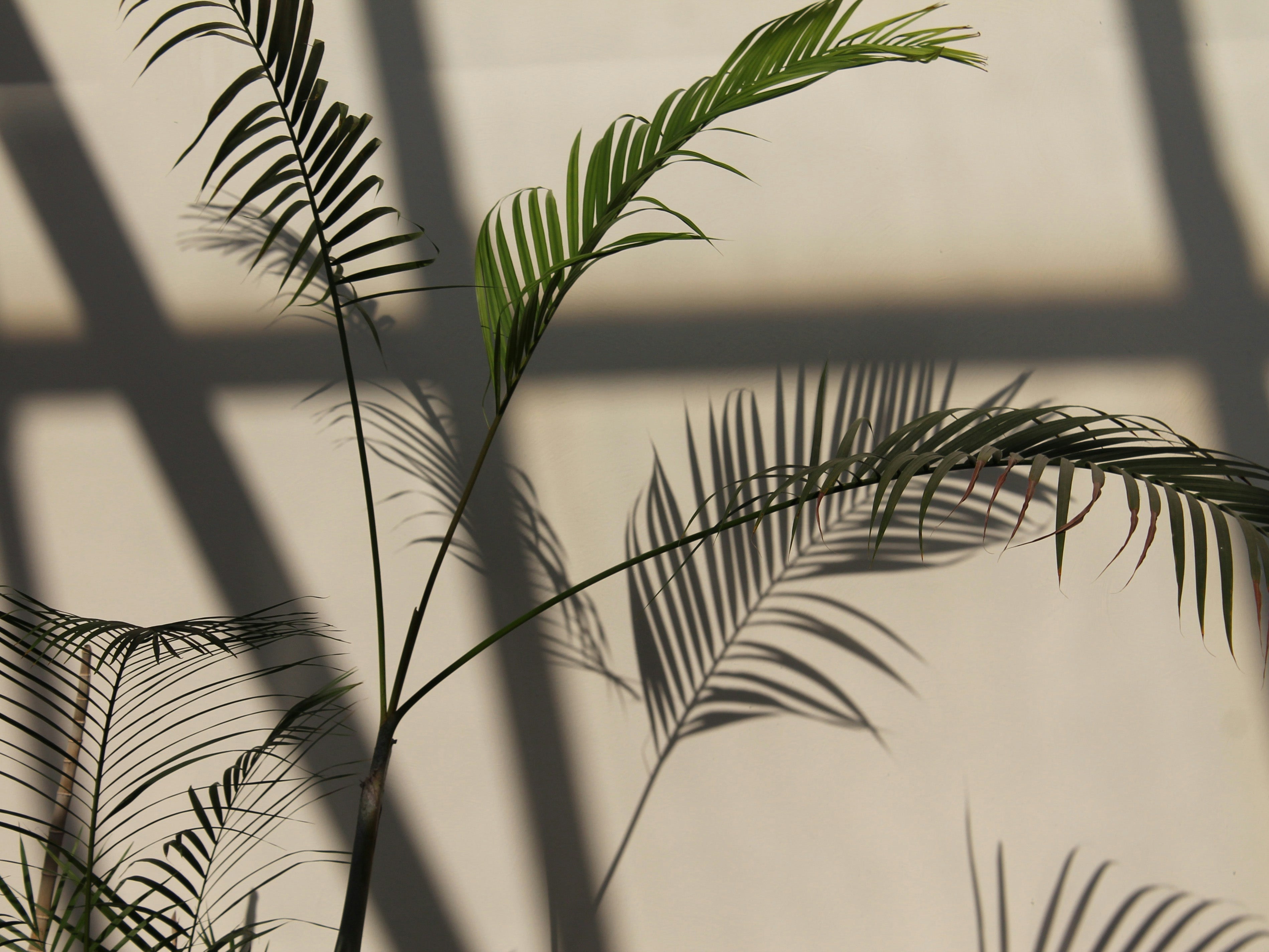 Eco-friendly Options – MAD Hospitality Co